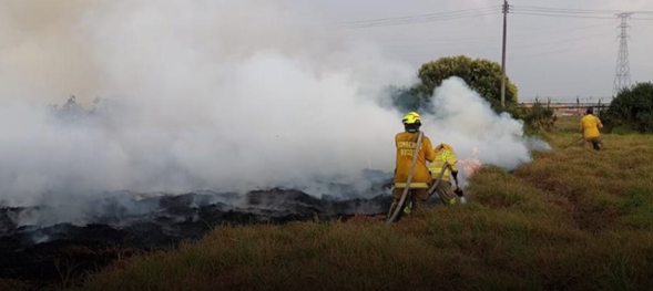 Alcaldía De Bogotá Declaró Emergencia Ambiental En El Sur Occidente De